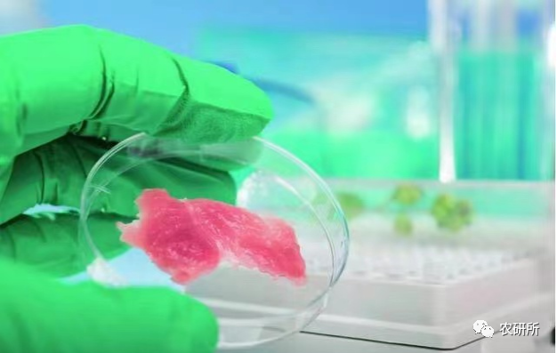 细胞培植鱼肉公司Avant Meats融资1080万美元，用于产品推广销售-FoodTalks全球食品资讯