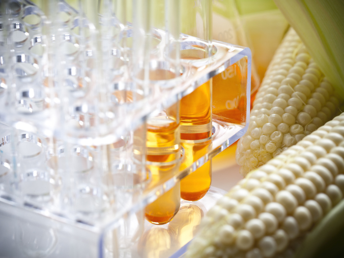 Molecular farming: Food tech start-up develops hybrid plant- and cell ...